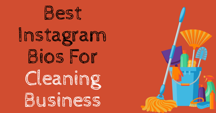 350+ Best Instagram Bios For Cleaning Business - Insta Bio Pro